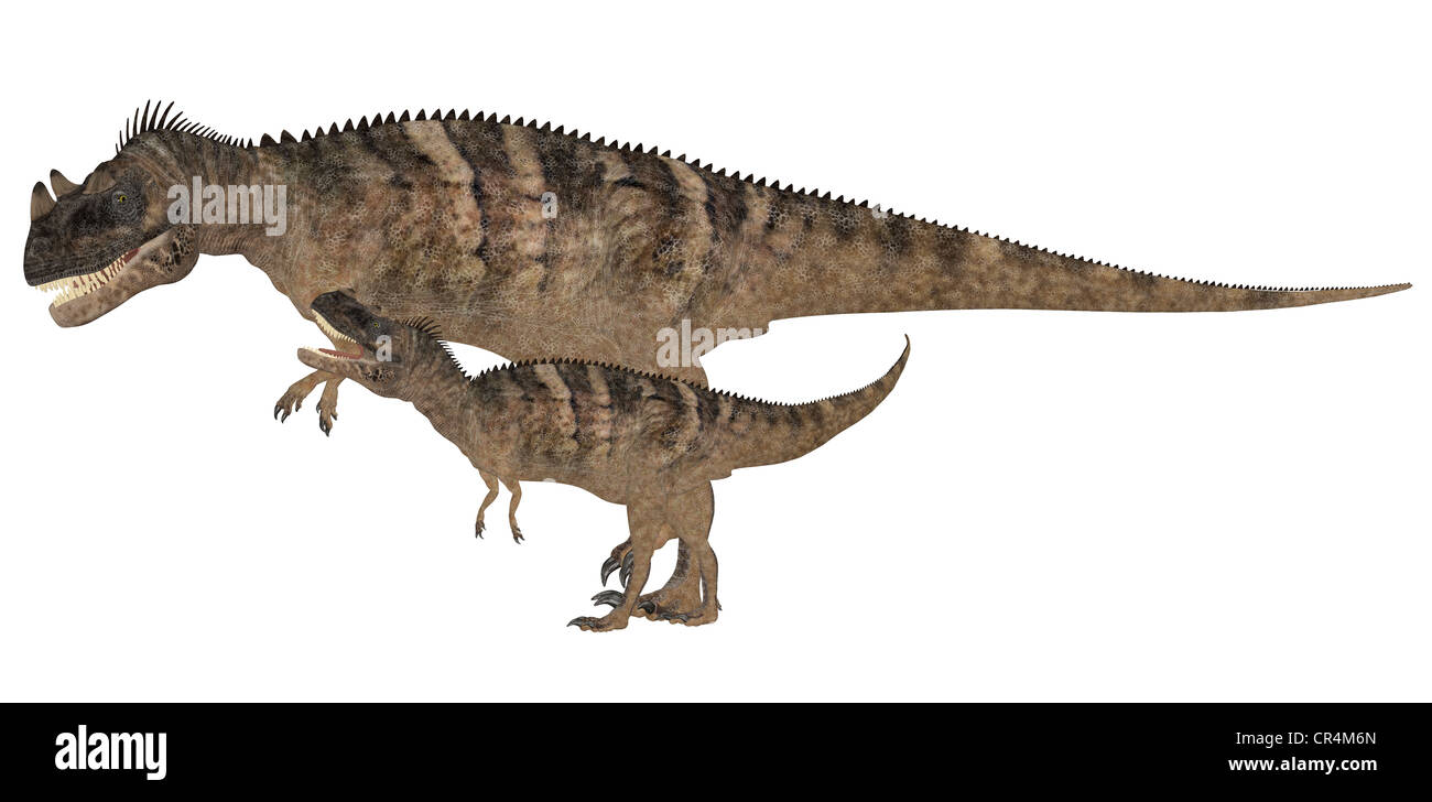 Illustration of an adult and a young Ceratosaurus (dinosaur species ...