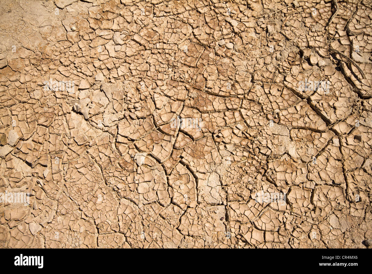 Cracked mud texture hi-res stock photography and images - Alamy