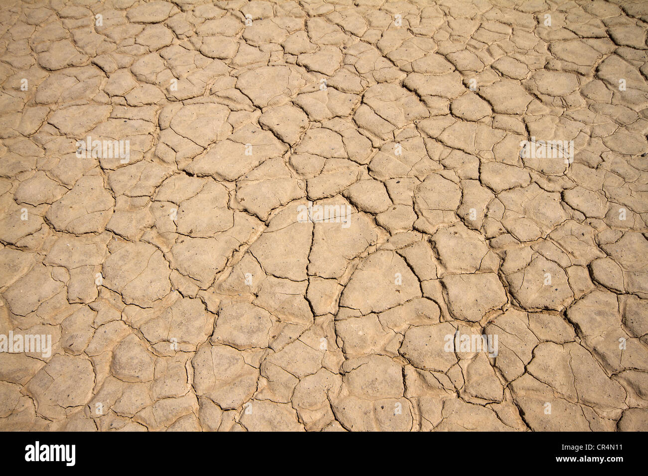 Pattern of a dry cracked mud on a dry lake bed Stock Photo - Alamy