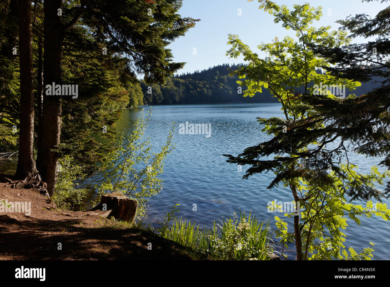 Lac Pavin, Pavin crater lake, Parc naturel regional des Volcans d ...