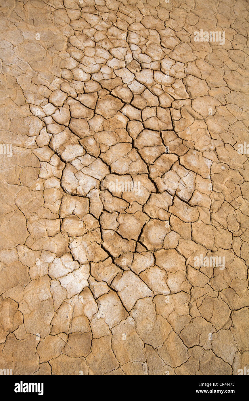 Cracked mud texture hi-res stock photography and images - Alamy