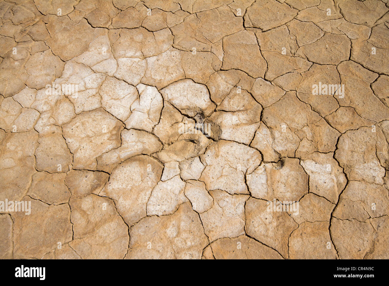 Dry mud pattern hi-res stock photography and images - Alamy