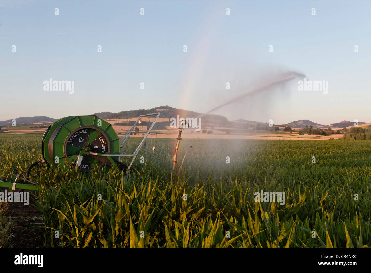 Maize watering irrigation field agriculture hi-res stock photography ...