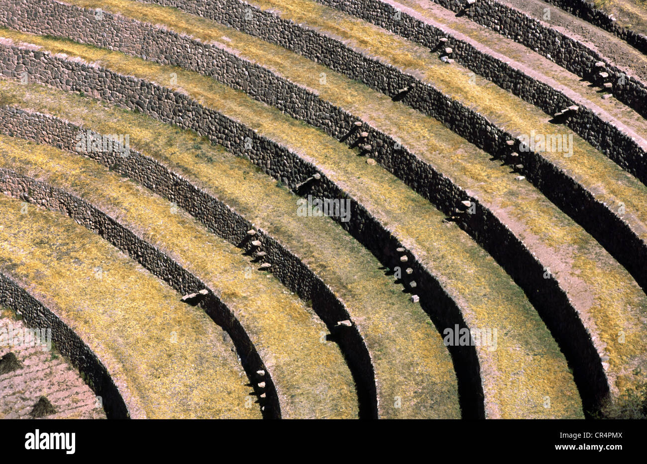 15th century laboratory hi-res stock photography and images - Alamy