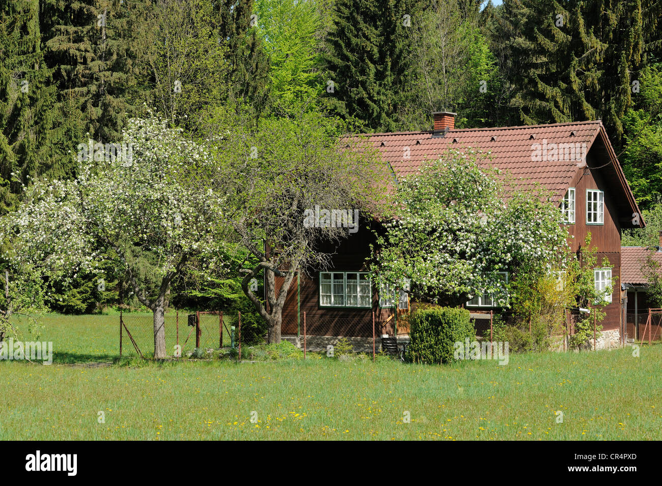 Timber cottage austria hi-res stock photography and images - Alamy