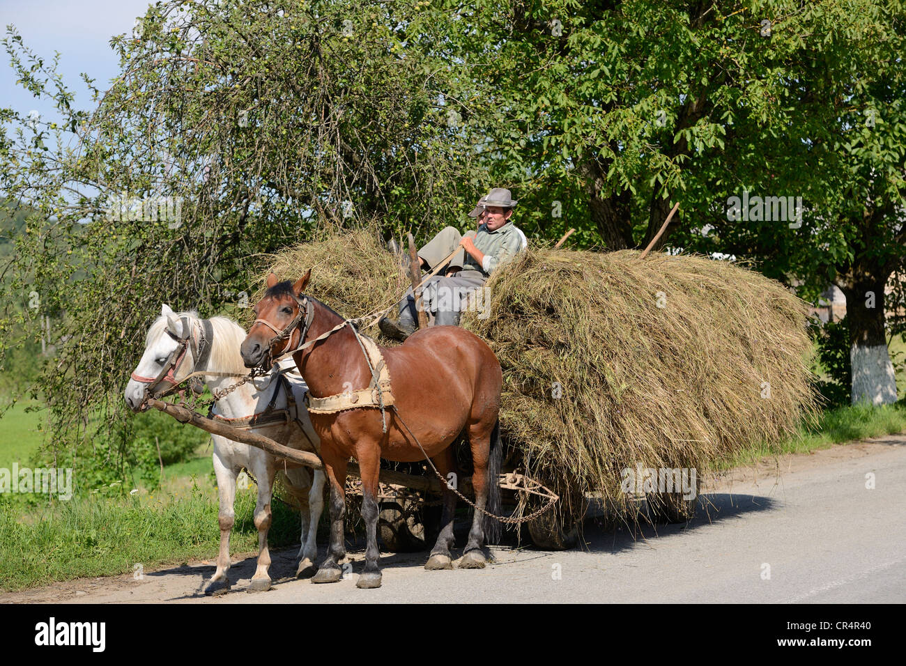 Old fashioned hay cart hi-res stock photography and images - Alamy