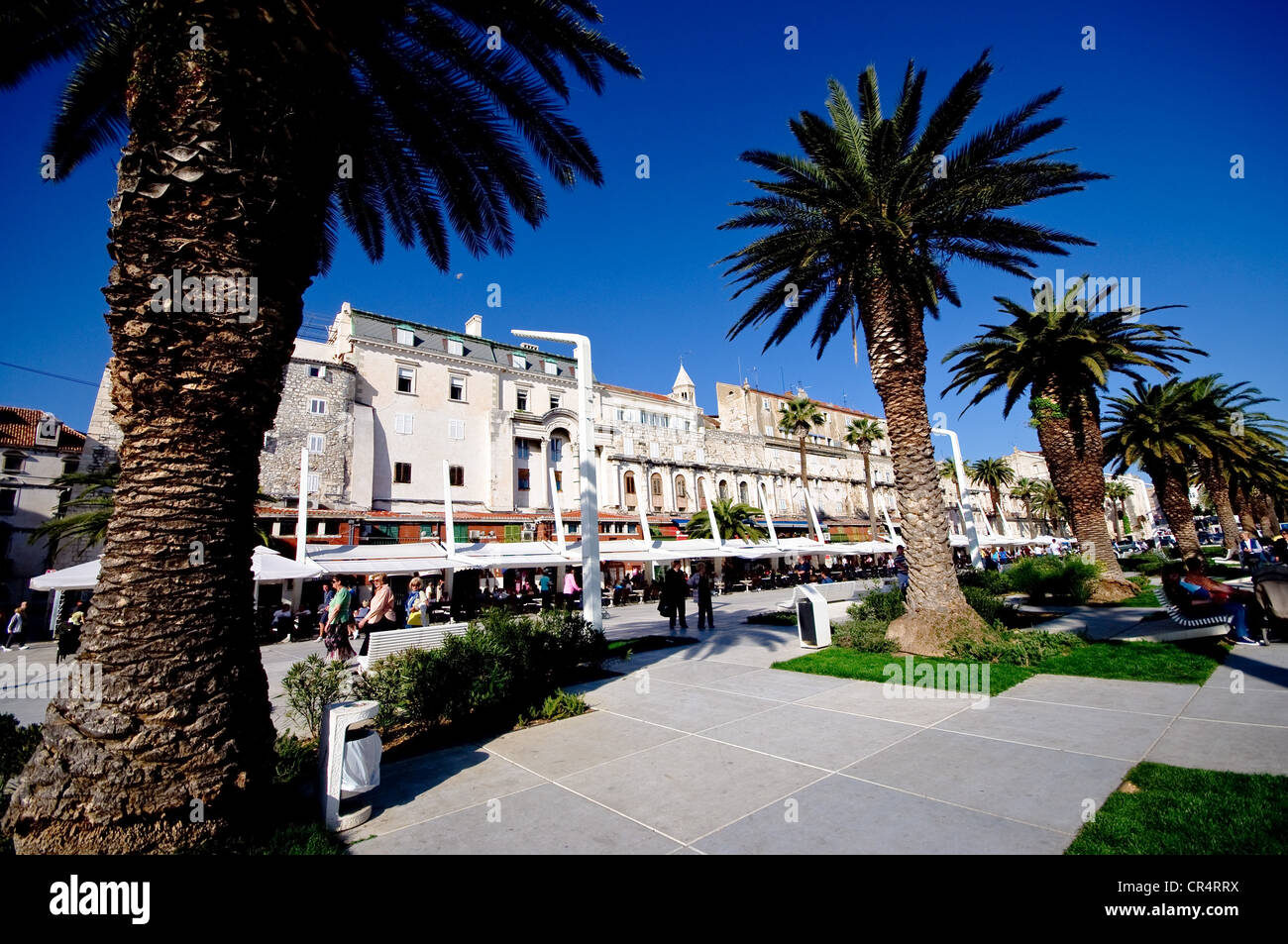 Split croatia adriatic sea ancient balkans europe antique palm ...