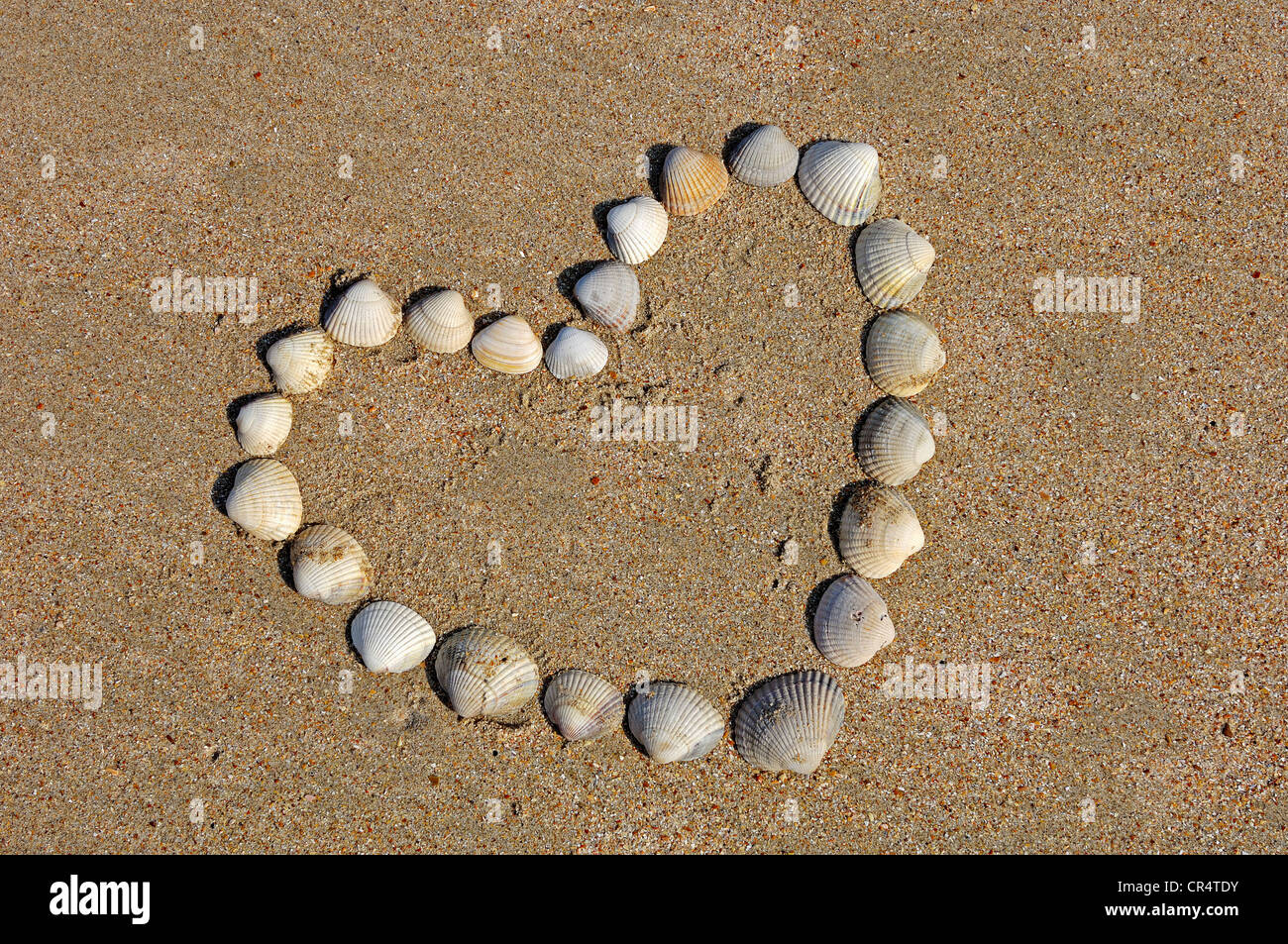 Heart of shells on a beach Stock Photo - Alamy
