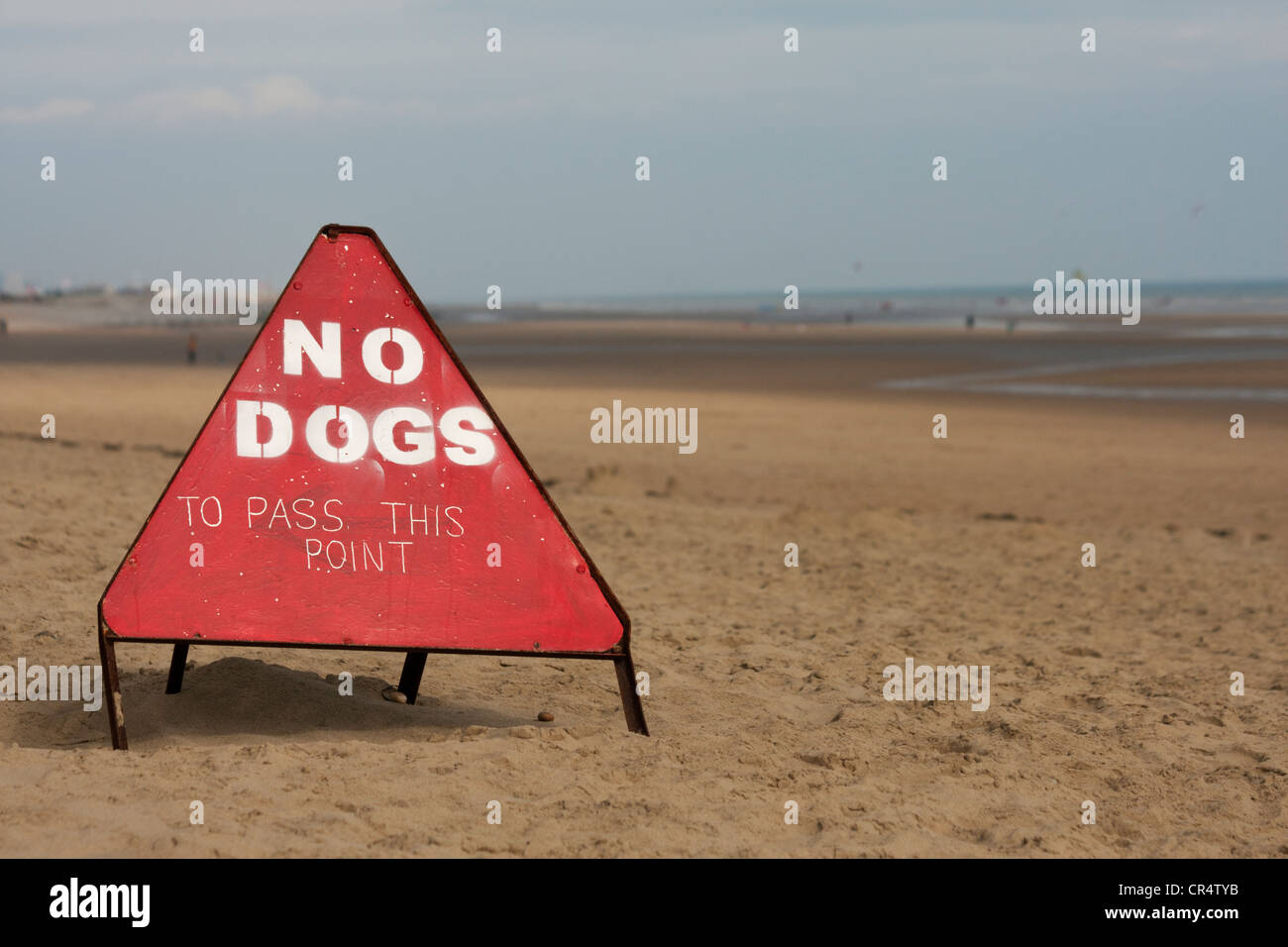 No dogs zone hi-res stock photography and images - Alamy