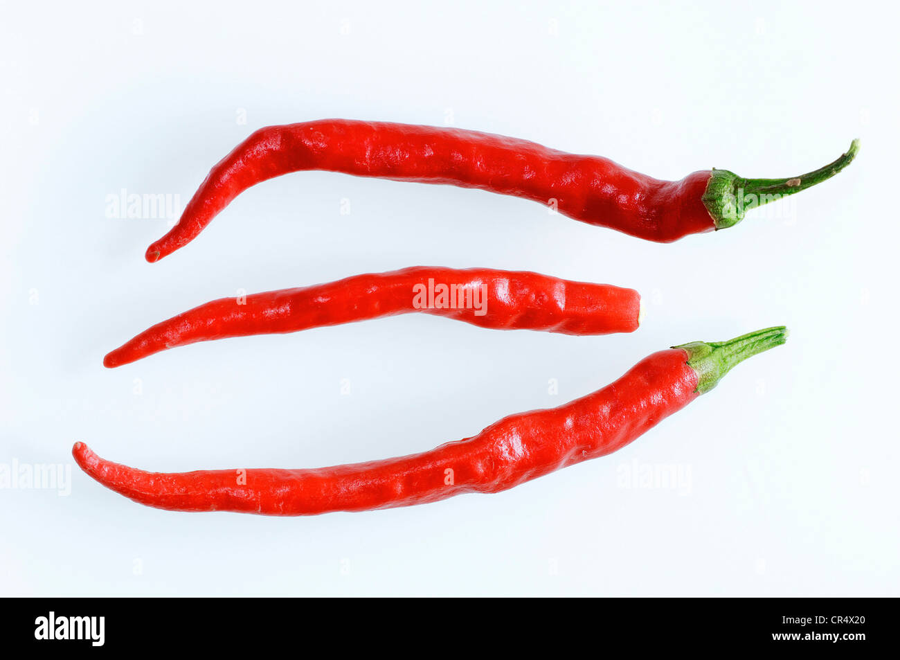 Chili Peppers (Capsicum frutescens Stock Photo - Alamy
