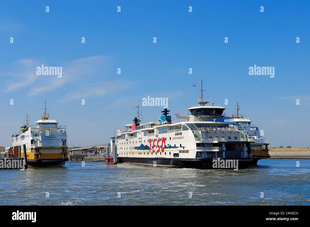 Ferries in the port of Het Horntje, Texel, The Netherlands, Europe ...
