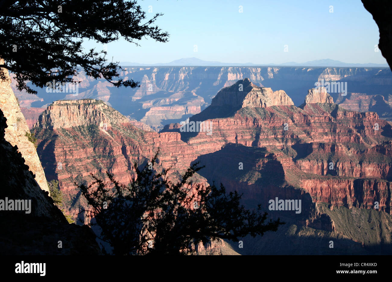 The Grand Canyon Stock Photo - Alamy