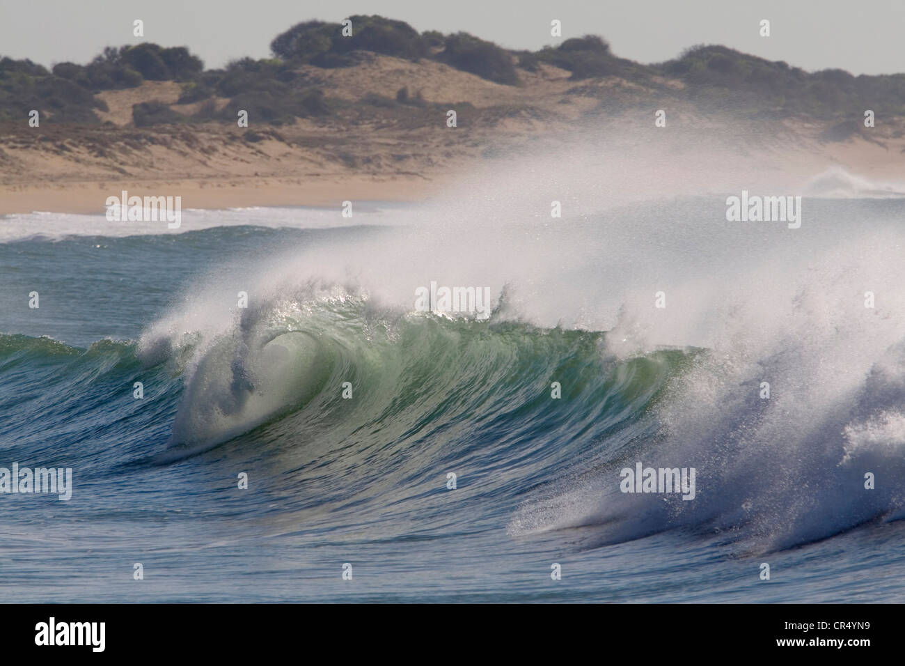 Yala national park beach hi-res stock photography and images - Alamy