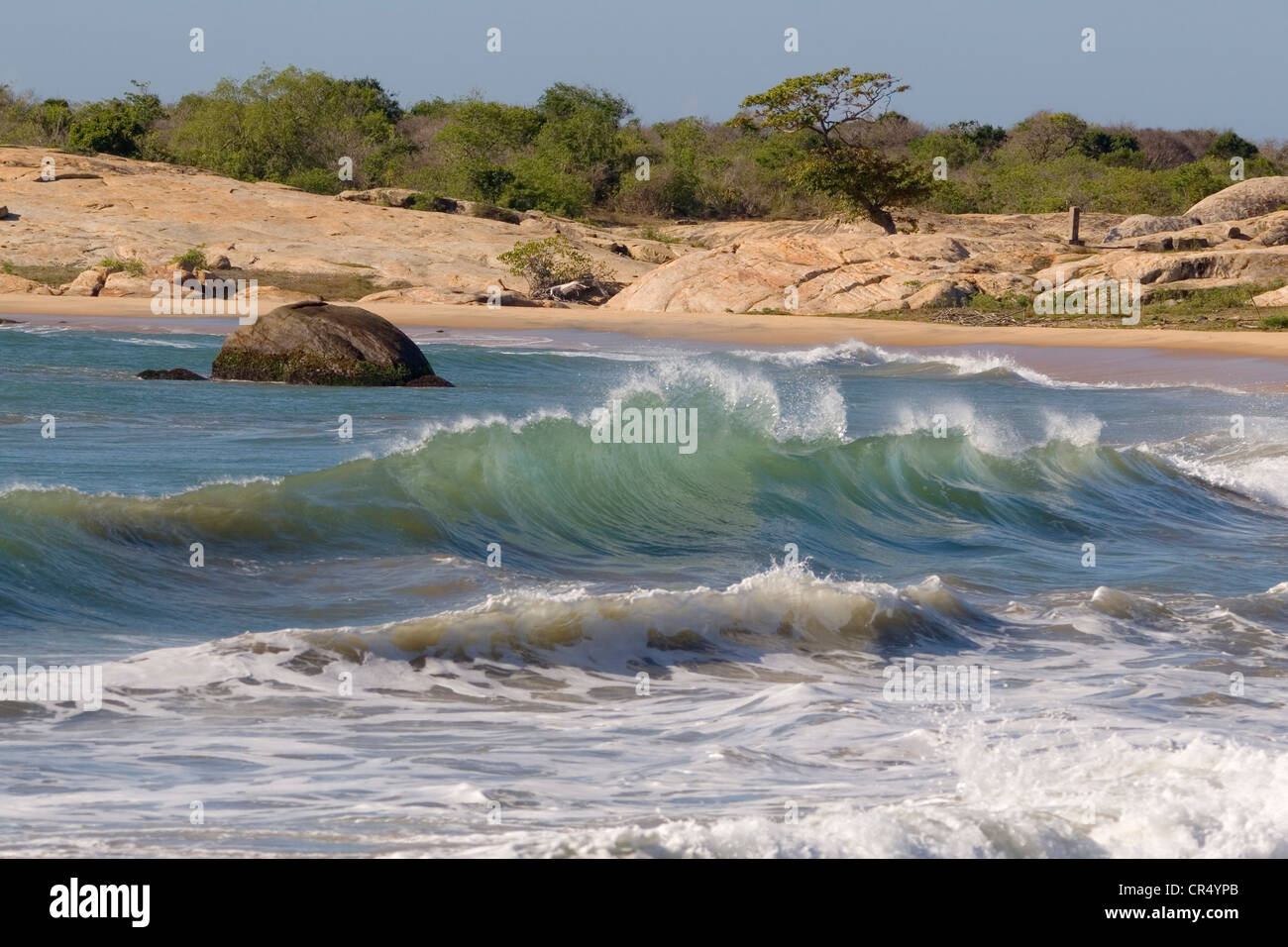 Yala national park beach hi-res stock photography and images - Alamy
