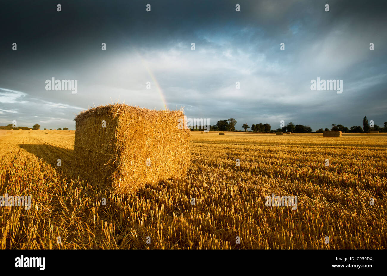 hay bale in english summer field with dark rain clouds and rainbow ...