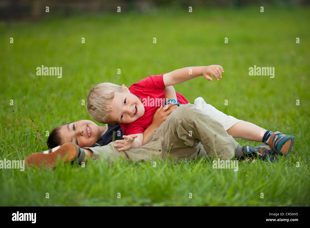 Boy, 6 years, playing with his little brother, 2 years, on a meadow ...