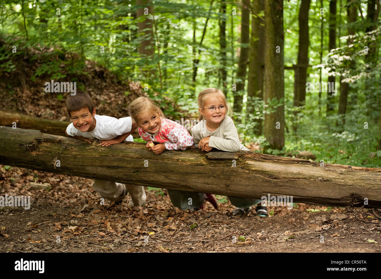 Kids playing in forest dark hi-res stock photography and images - Alamy
