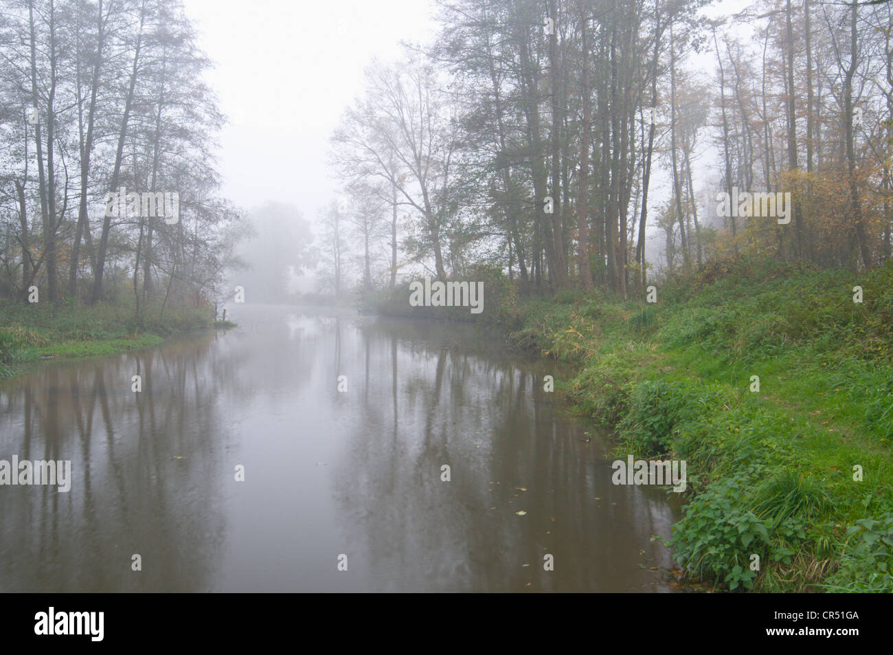 Ems river backwaters, Holthausen, Emsland region, Lower Saxony, Germany ...