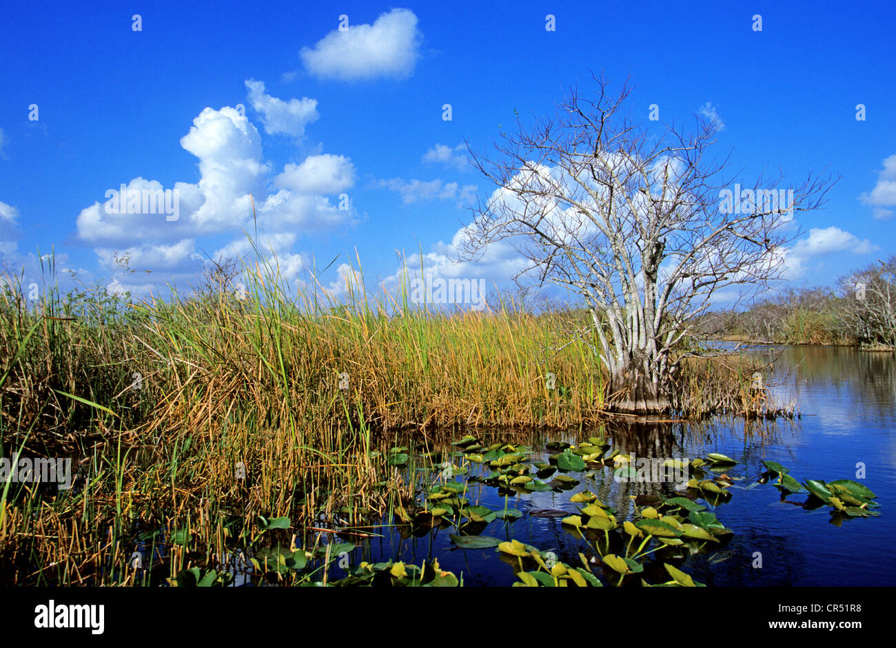 United States, Florida, Keys Archipelago, Keys Stock Photo - Alamy