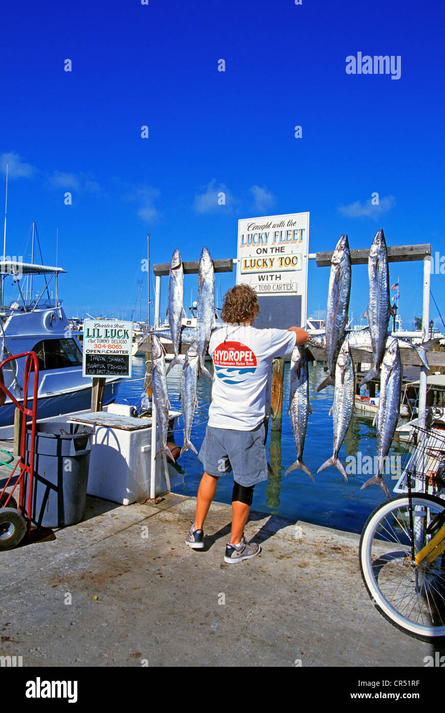 United States, Florida, Keys Archipelago, Key West, marina, back from ...