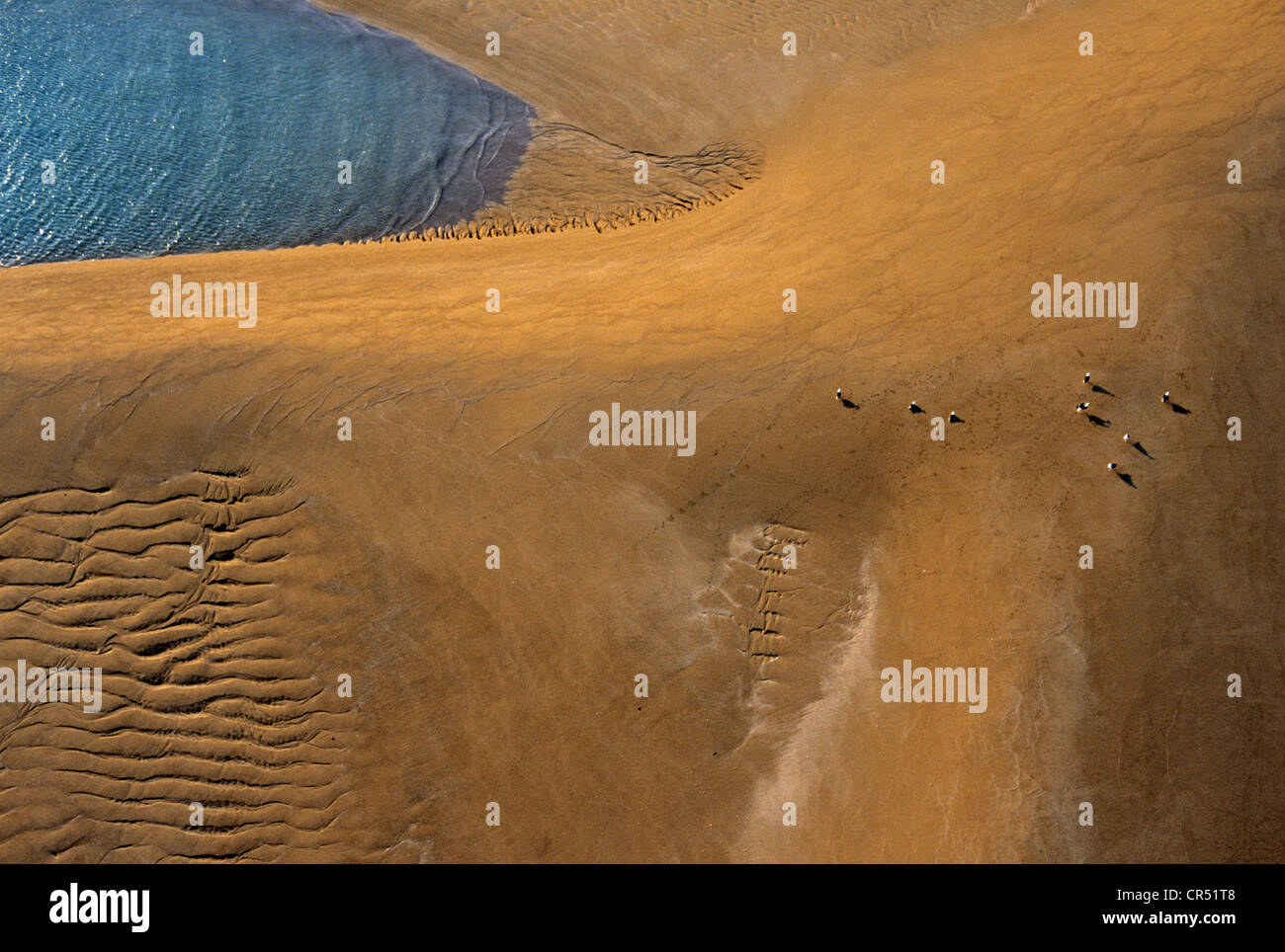 Minquiers High Resolution Stock Photography and Images - Alamy