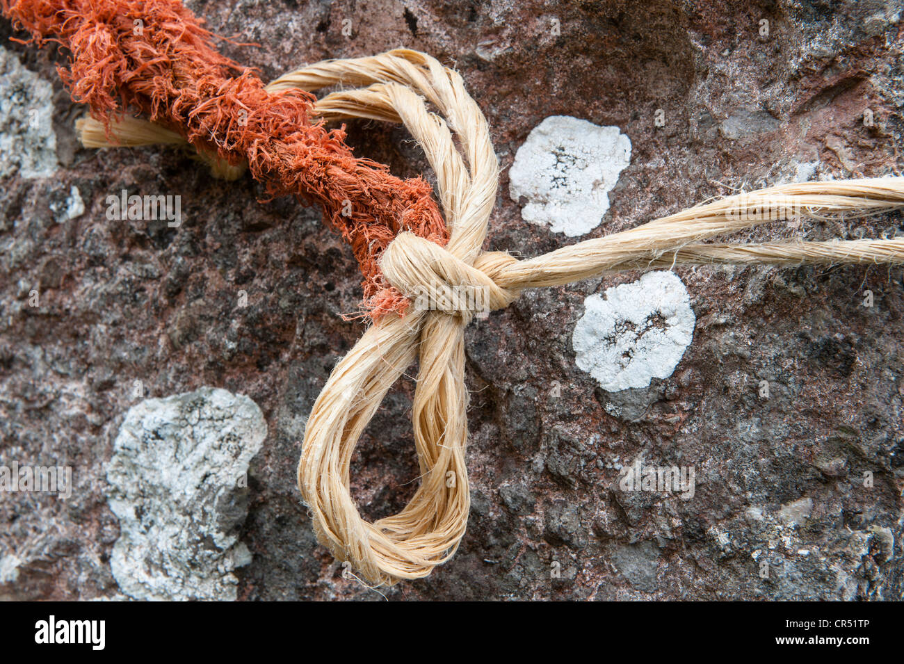 Ropes fastening, stone wall covered in lichen in the background detail ...