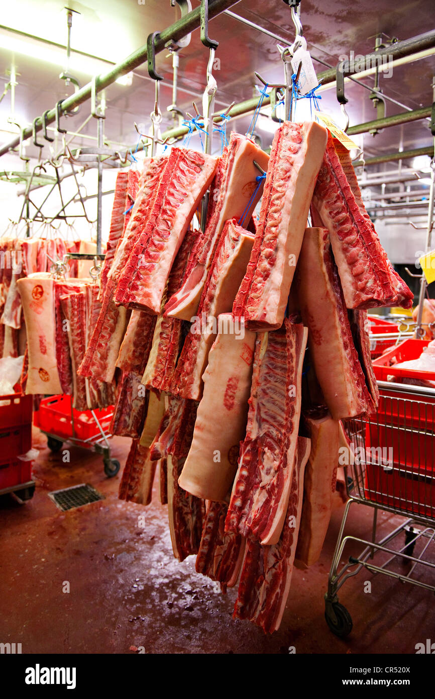 Meat stored in cold storage room Stock Photo - Alamy