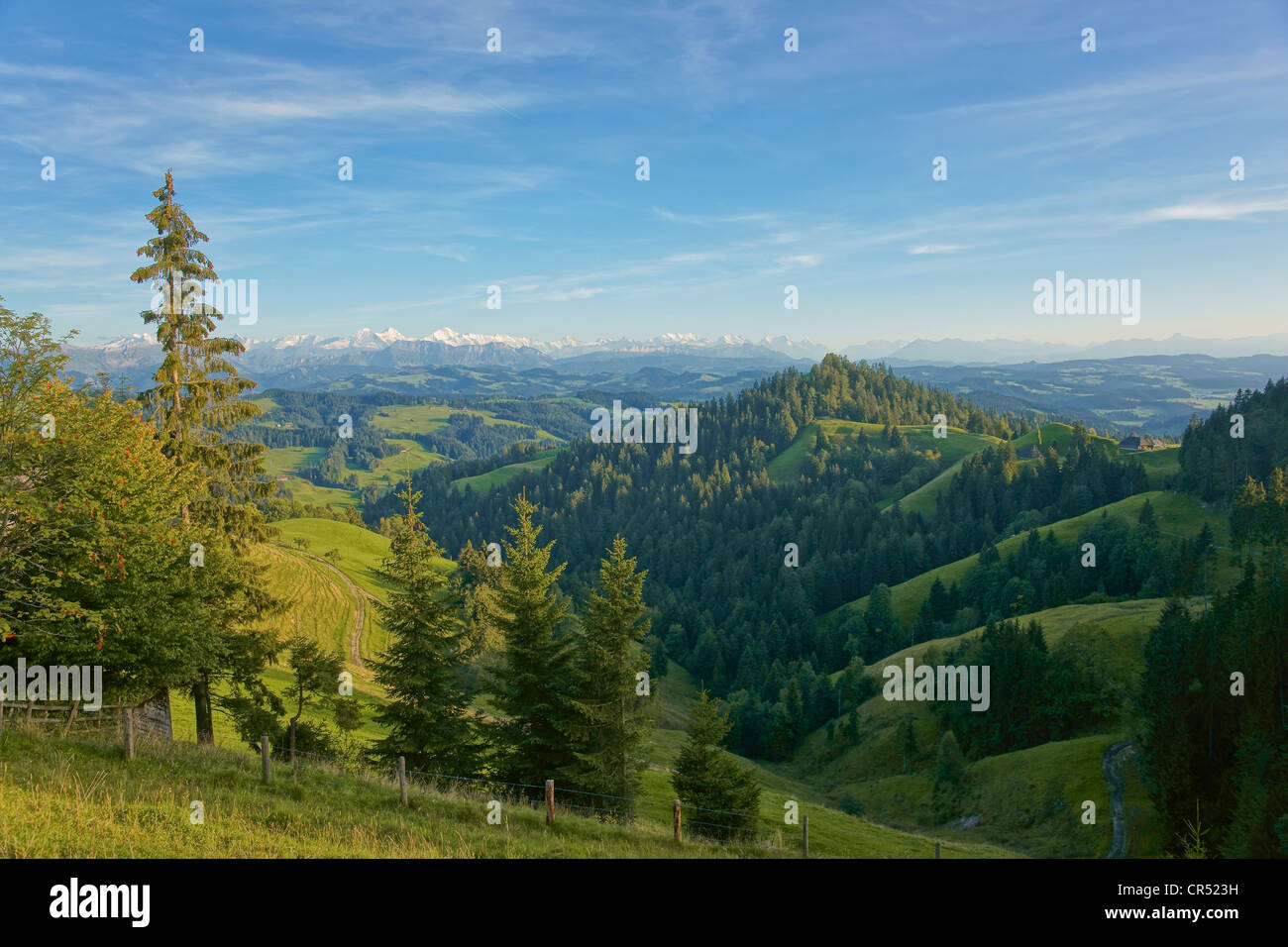 Emmental region hi-res stock photography and images - Alamy