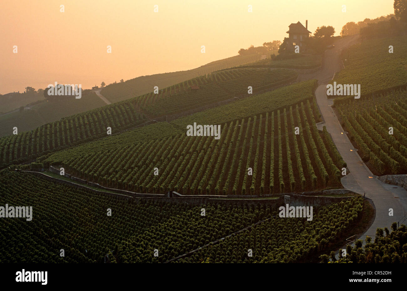 Le dezaley hi-res stock photography and images - Alamy