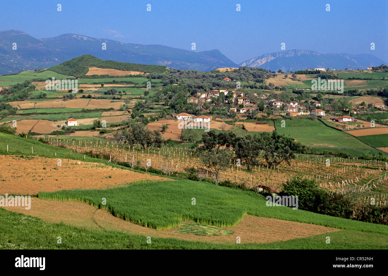Albania, Tirana Prefecture, Loundra, polyculture landscape Stock Photo ...