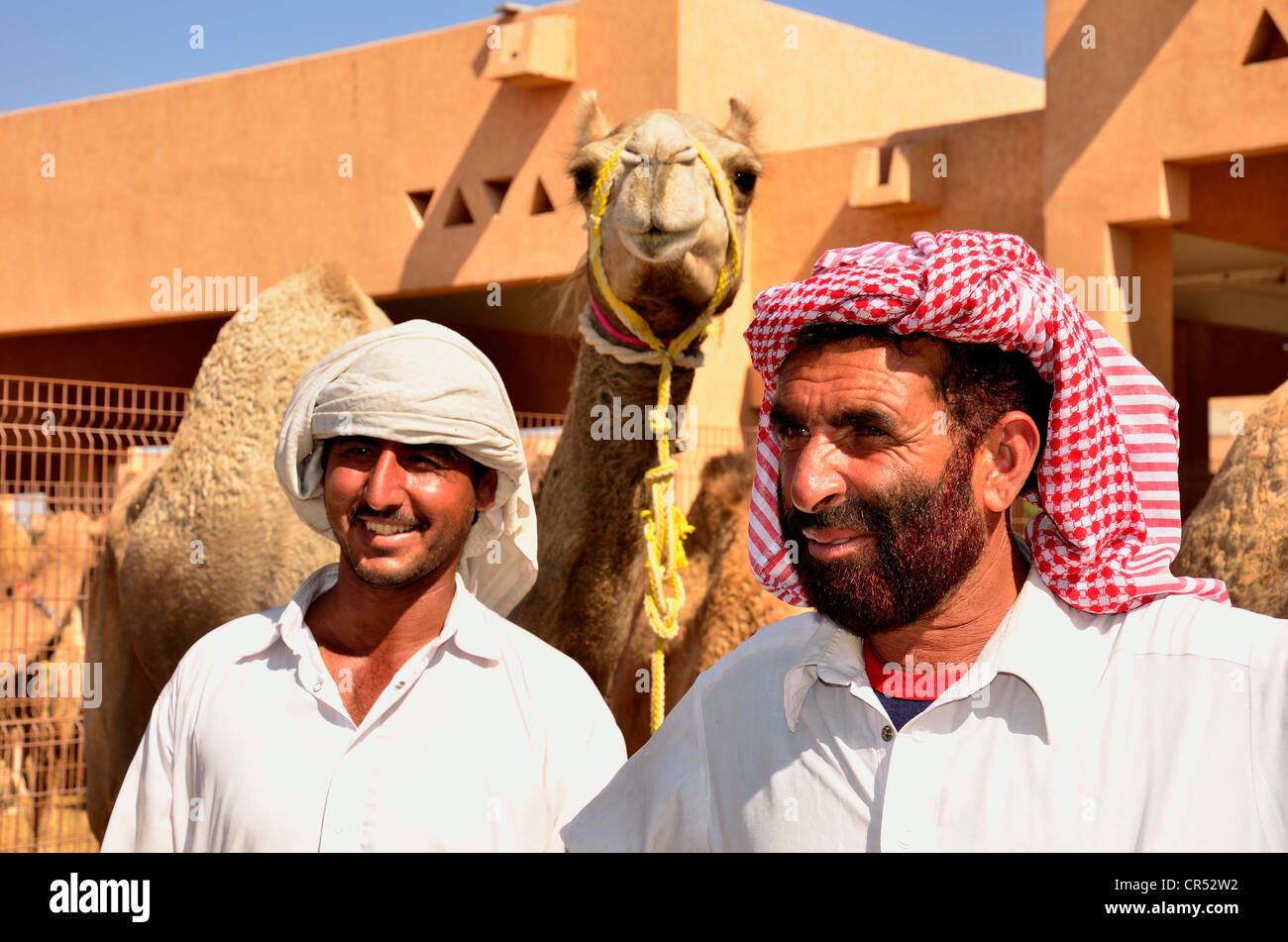 Camel vendors at the camel market of Al Ain, Abu Dhabi, United Arab ...