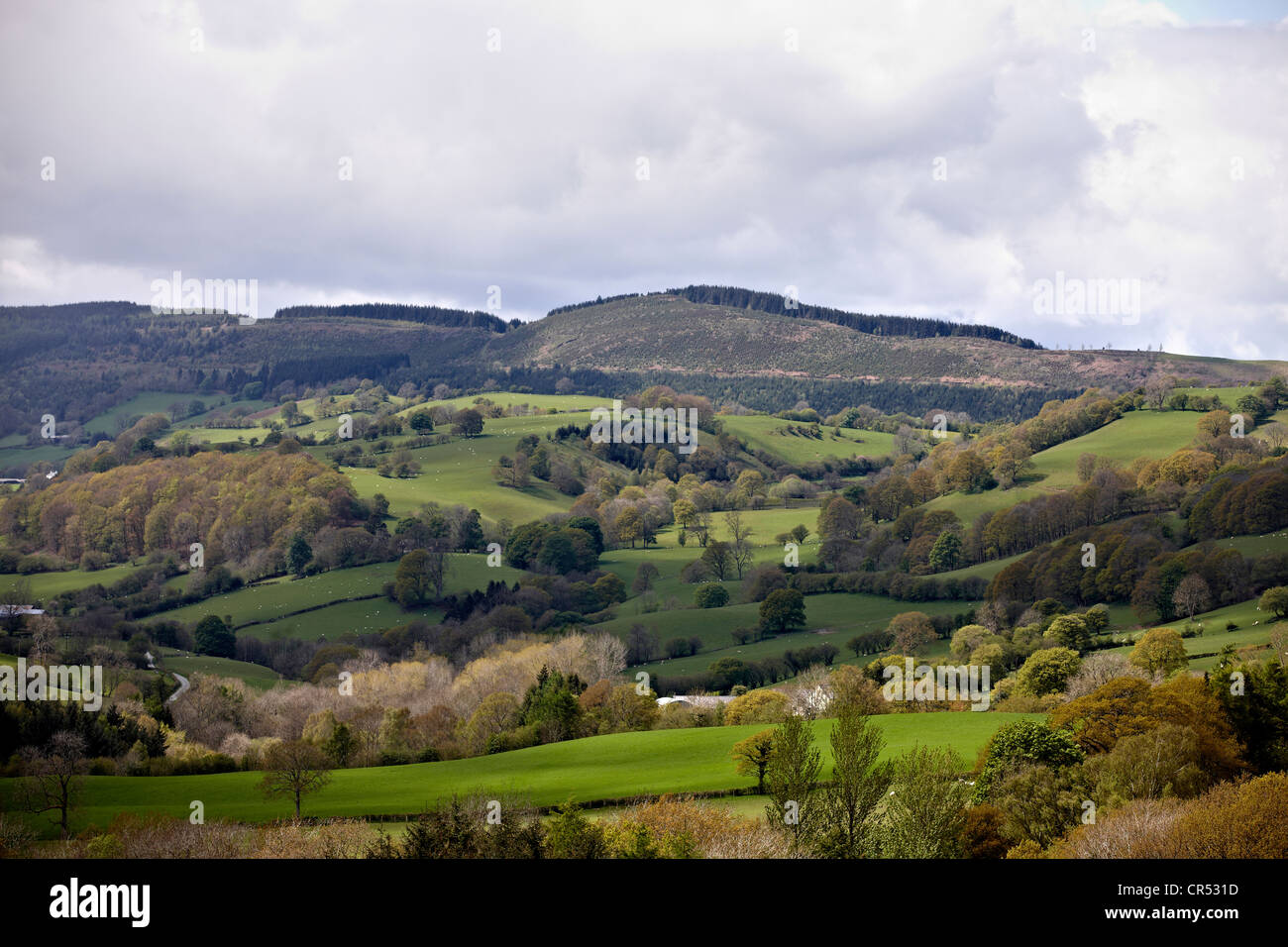 Llanfyllin hi-res stock photography and images - Alamy
