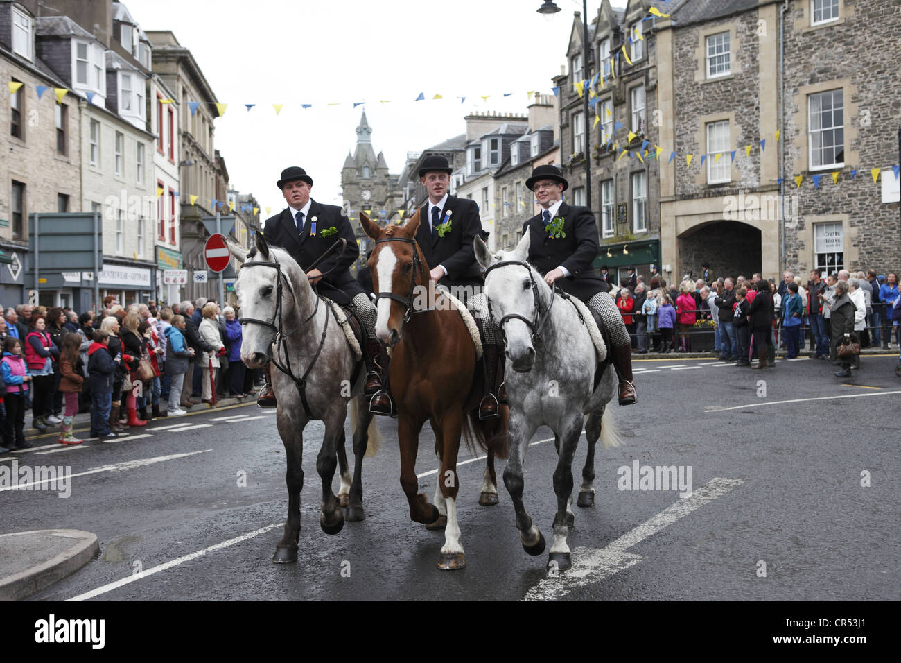 The horse hawick hi-res stock photography and images - Alamy