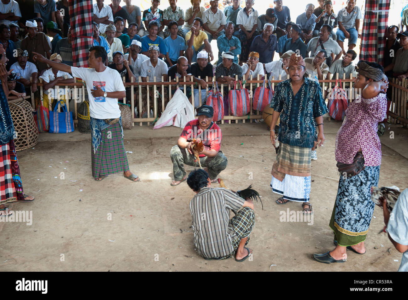 Cockfighting is a religious obligation at every Balinese temple ...