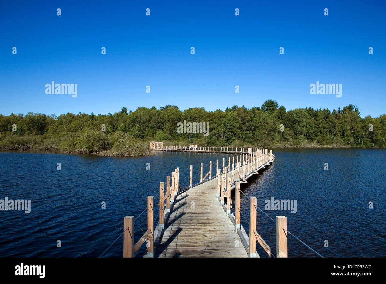 France, Nievre, Parc Naturel Regional du Morvan (Natural Regional Park ...