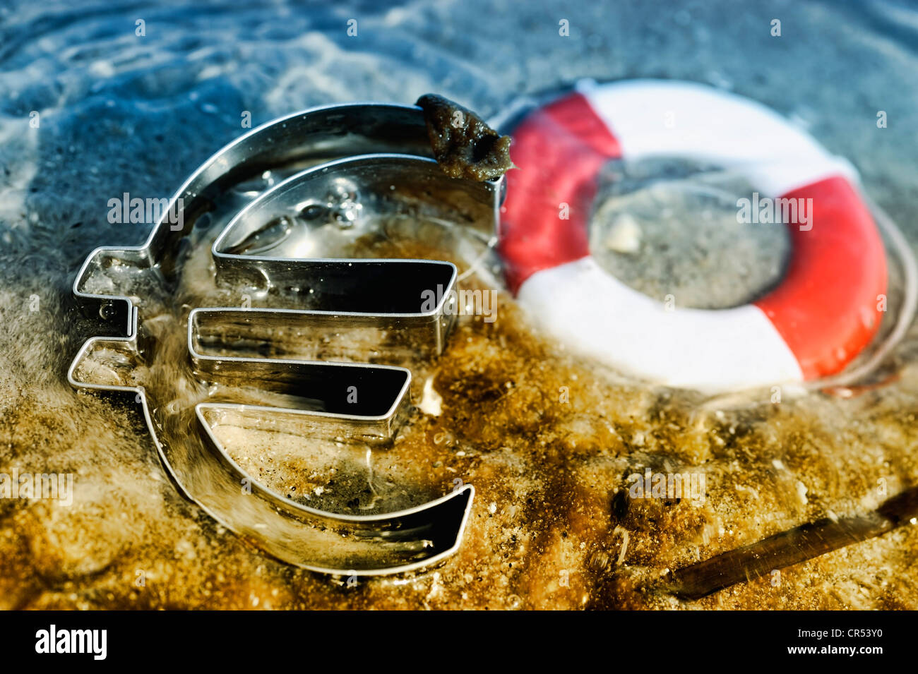 Euro sign and lifebuoy, symbolic image, rescue of the Euro Stock Photo ...