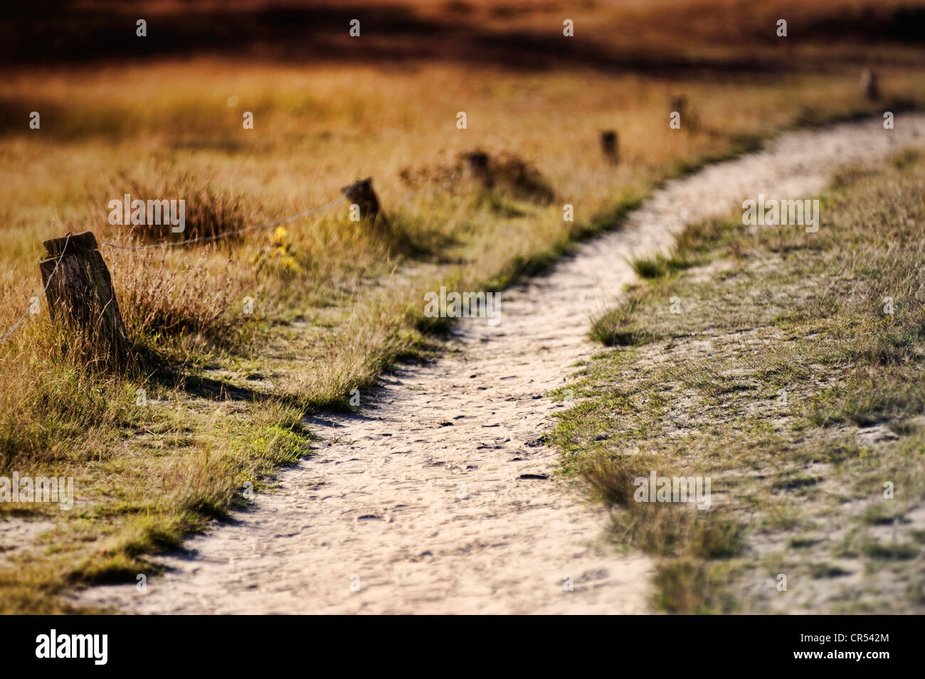Path, symbolic image for life Stock Photo - Alamy