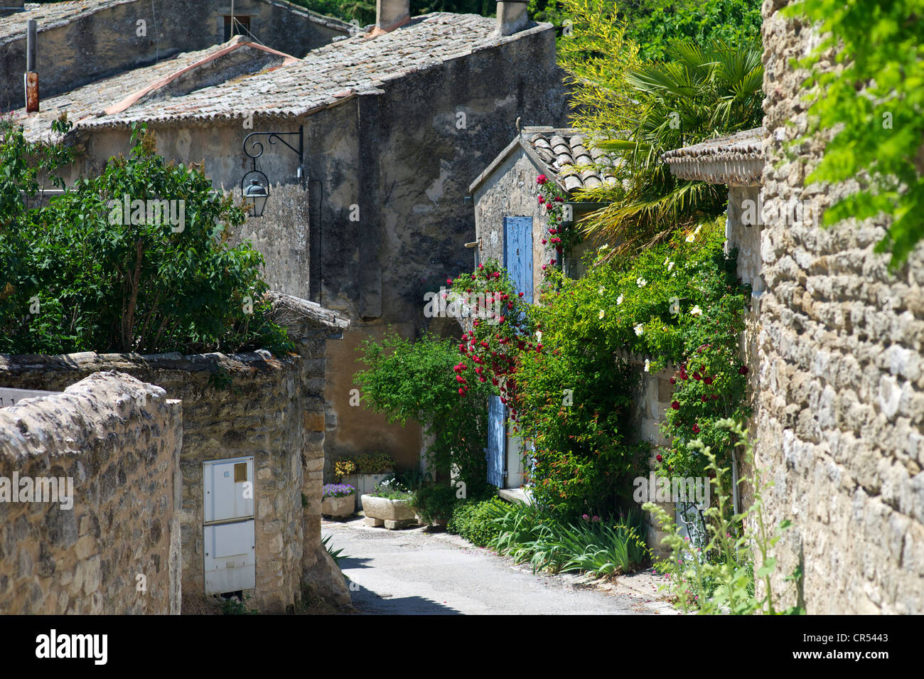 Oppède-le-Vieux, Petit Luberon, Provence, France Stock Photo - Alamy