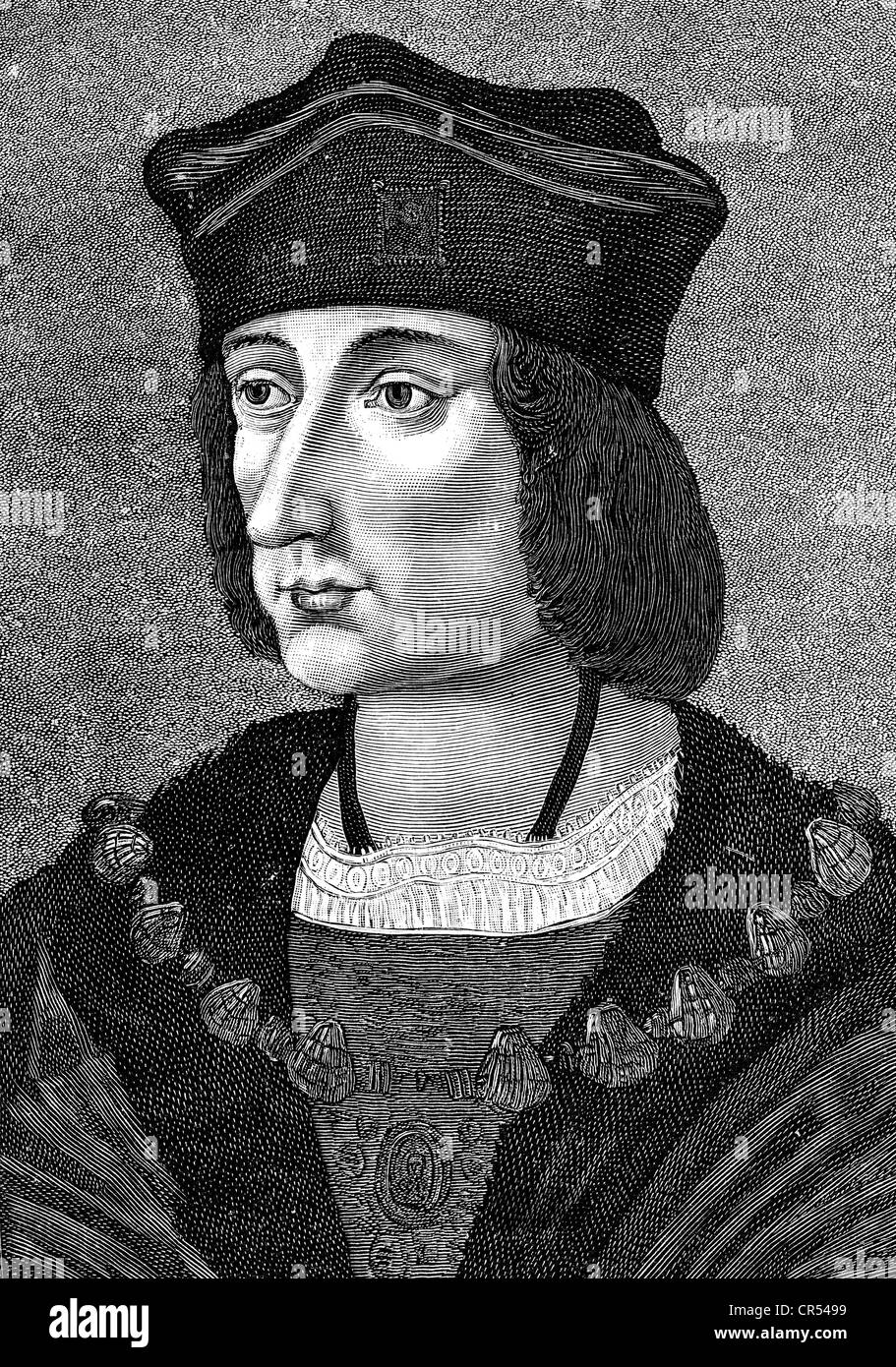 Charles viii hi-res stock photography and images - Alamy