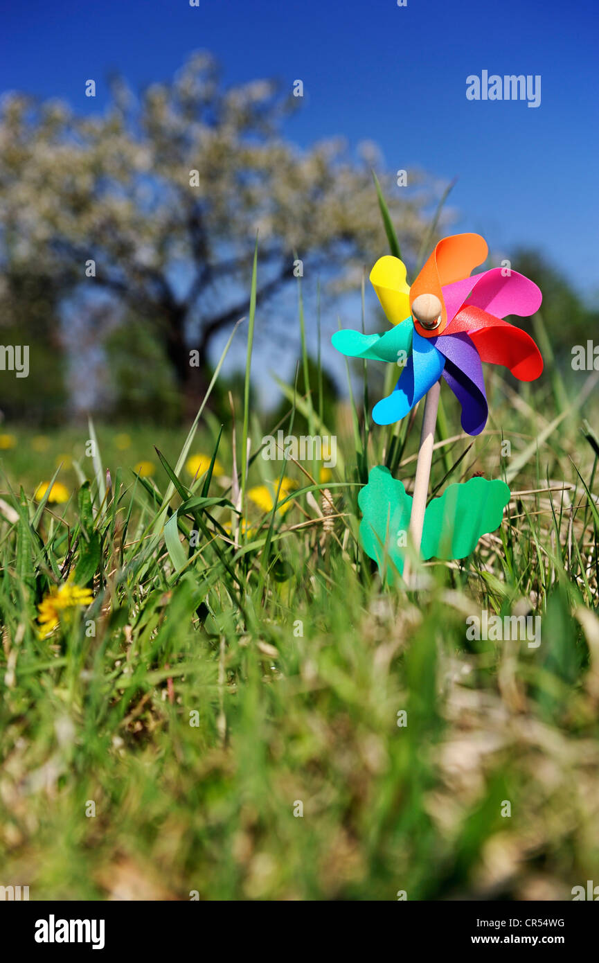 Colourful pinwheel in a meadow hi-res stock photography and images - Alamy