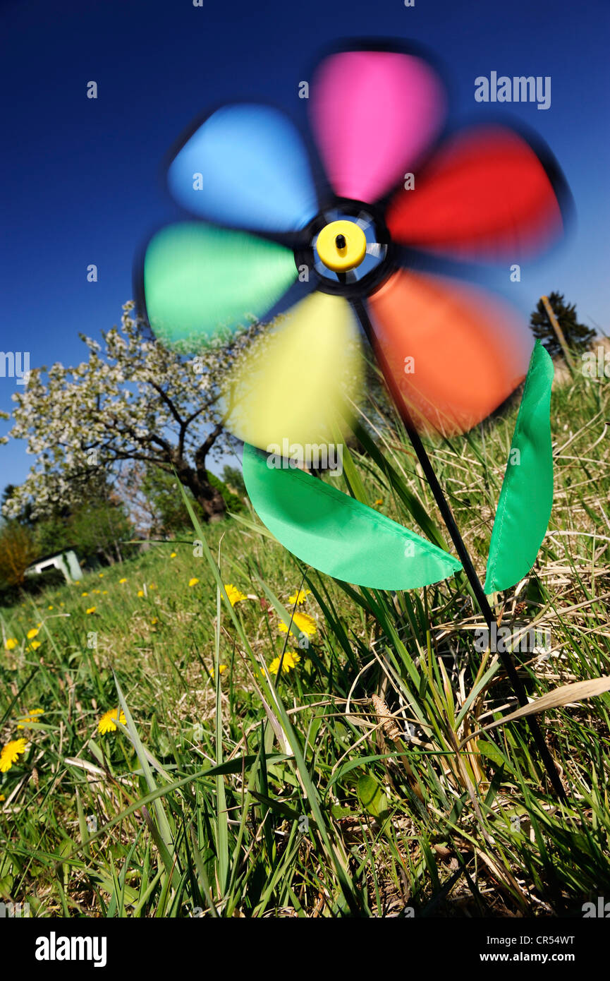Colorful pinwheel in a meadow, symbolic image for wind energy Stock ...