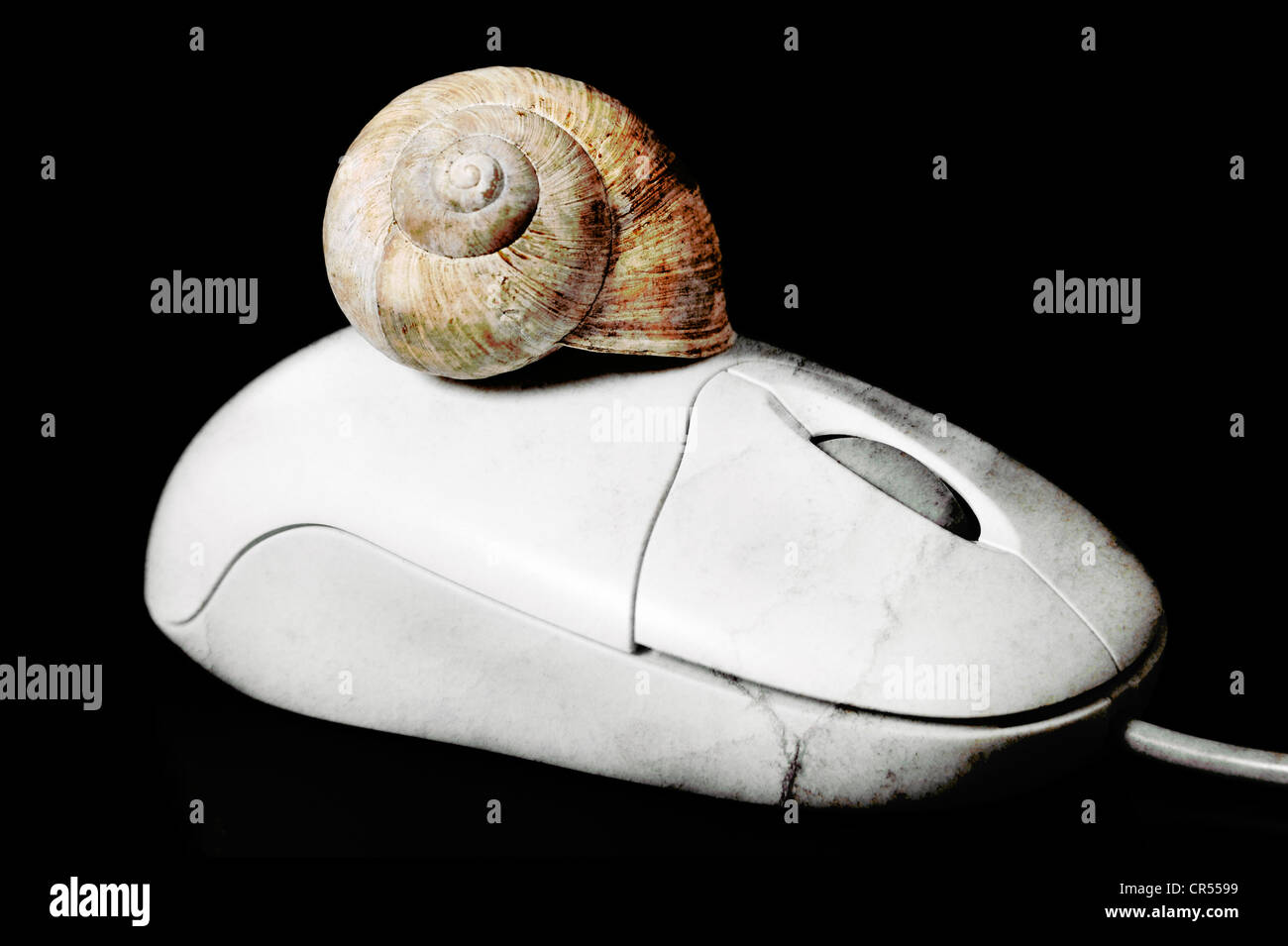 Computer mouse with a snail shell, symbolic image for two-tiered ...