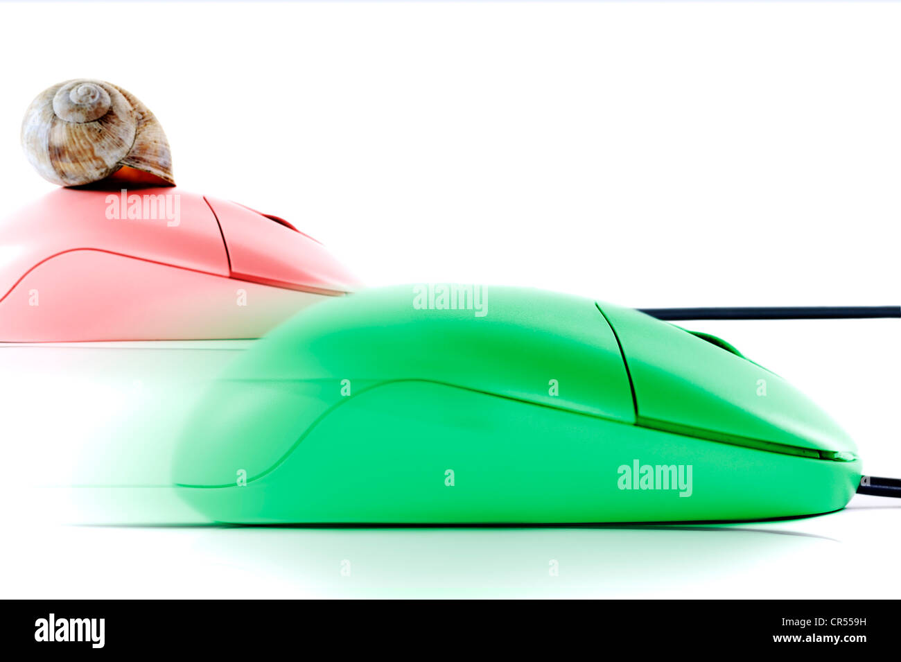 Green computer mouse and a pink computer mouse with a snail shell ...