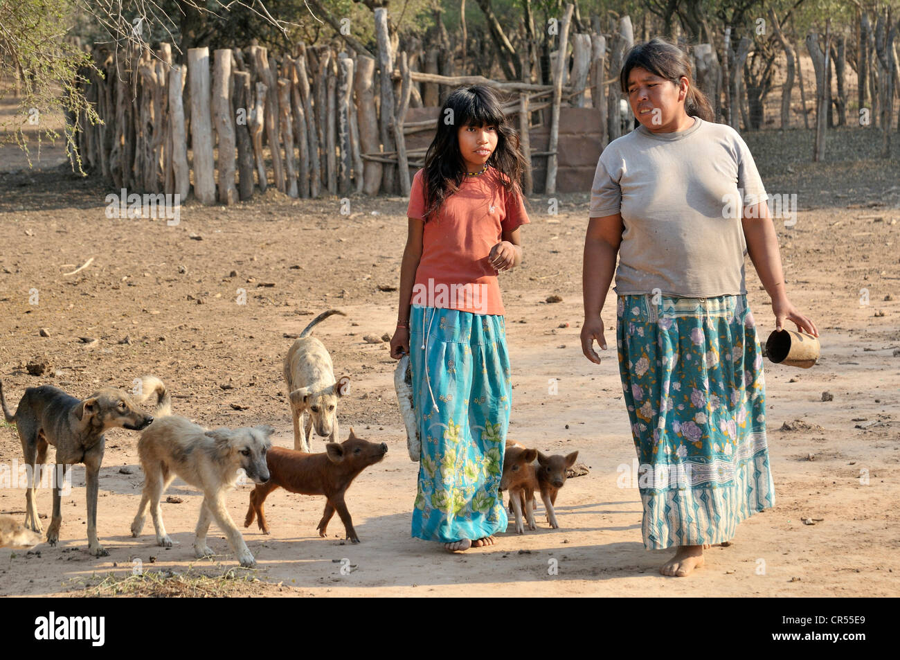 Indigenous girl and woman from the Wichi Indians tribe followed by dogs ...