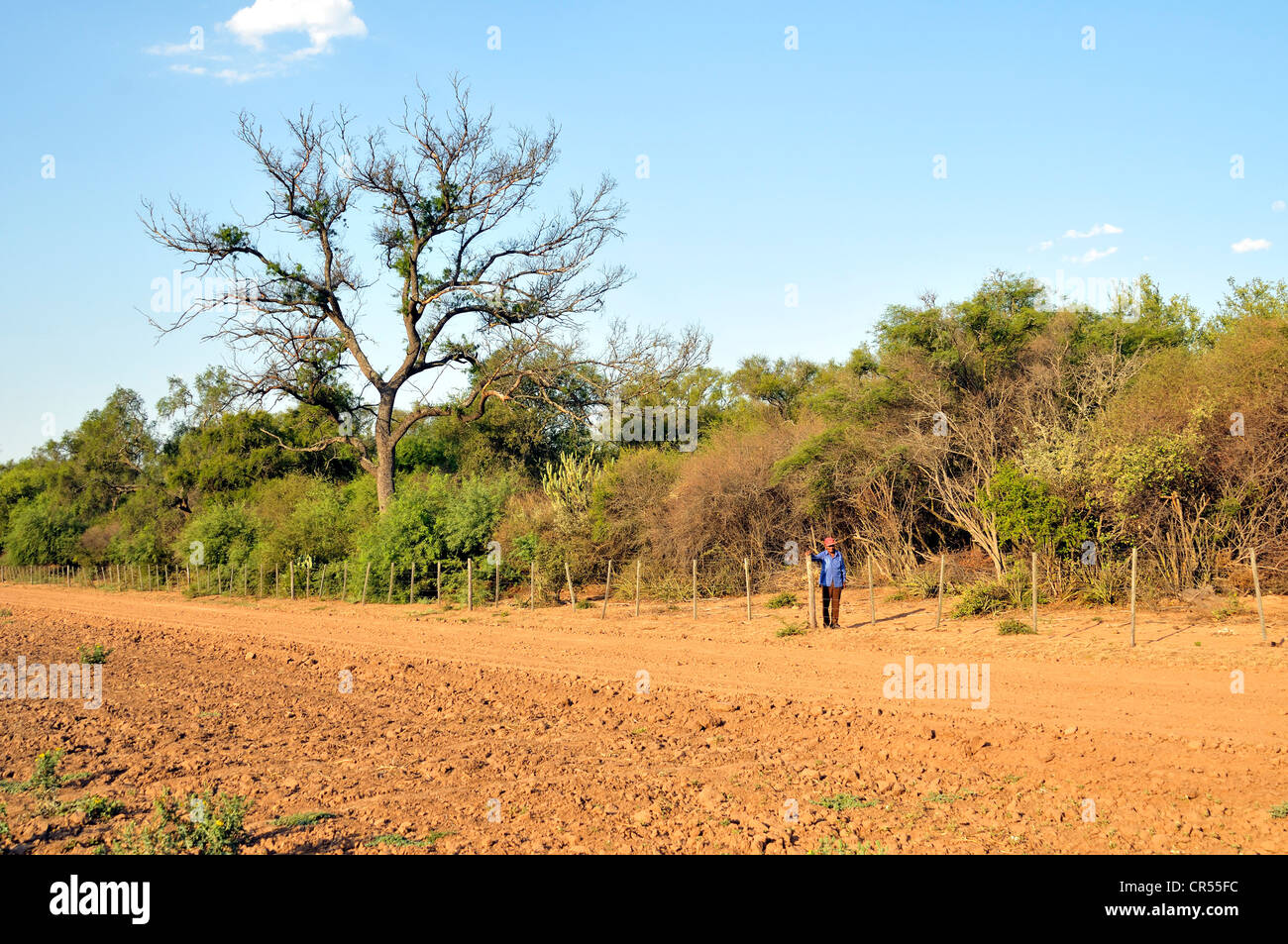 Indigenous community leader hi-res stock photography and images - Alamy