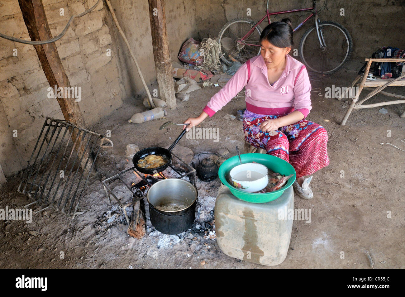 Indigenous woman from the Wichi Indians tribe, 31 years, cooking in a ...
