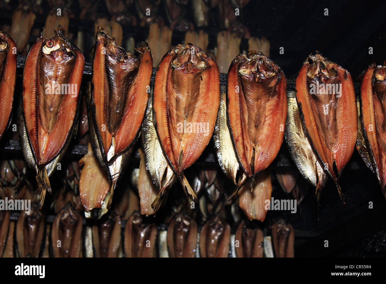 Kipper Smokehouse, Whitby Stock Photo - Alamy