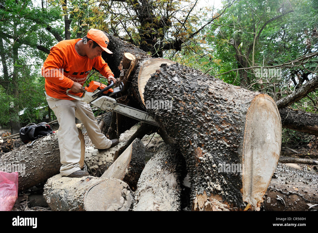Effects of floods hi-res stock photography and images - Alamy