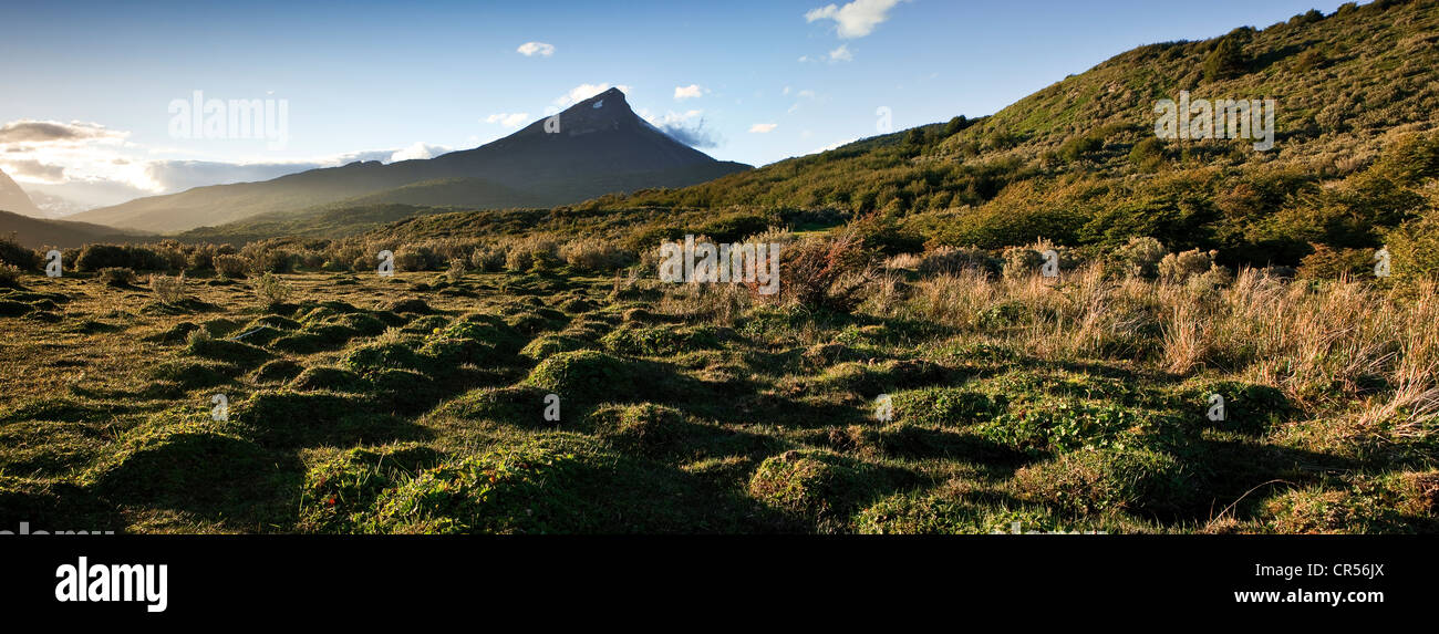Land of Fire, Tierra del Fuego, Argentina, South America, America Stock ...