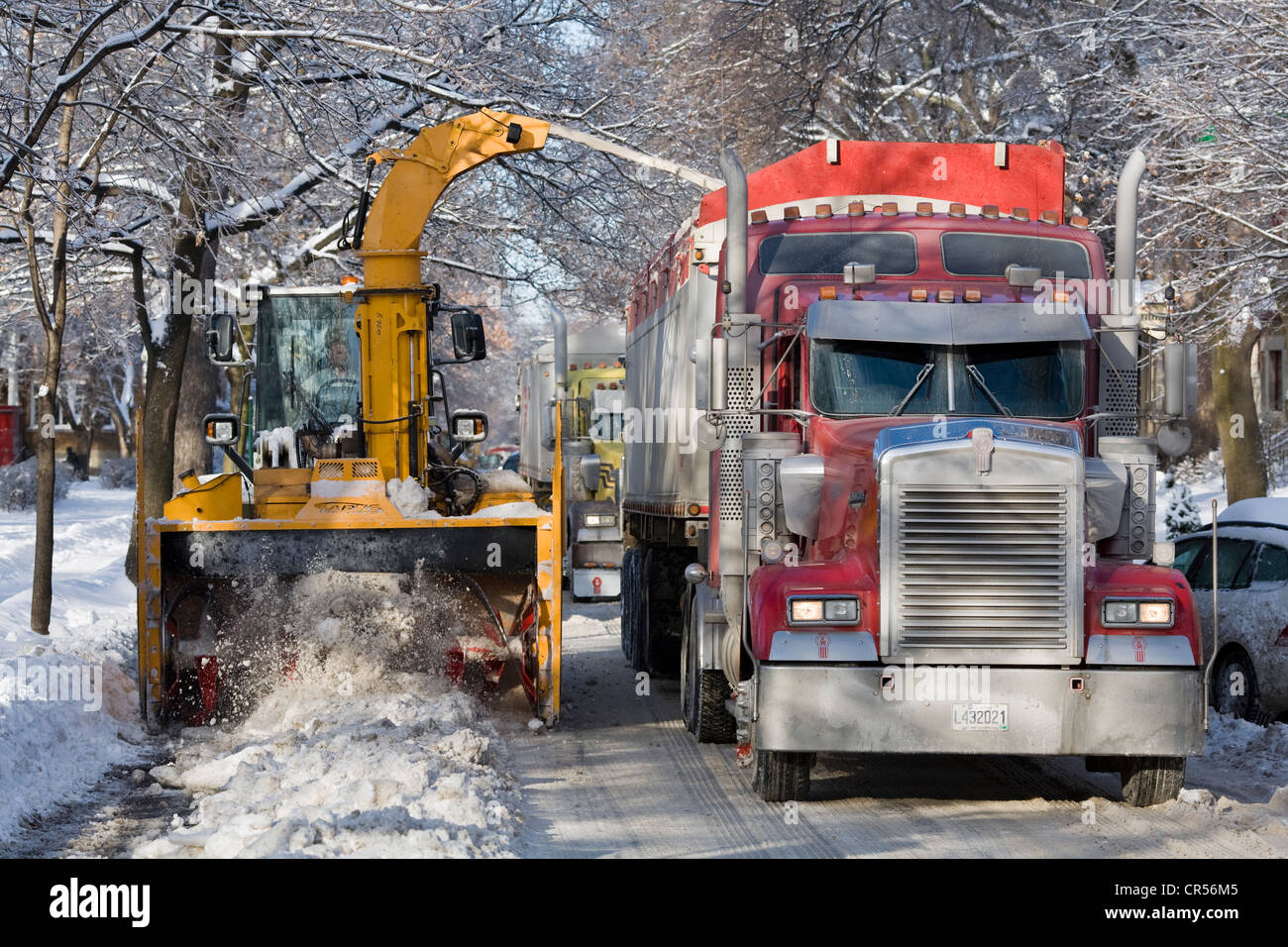 Canada, Quebec Province, Montreal, Outremont District, collecting snow ...